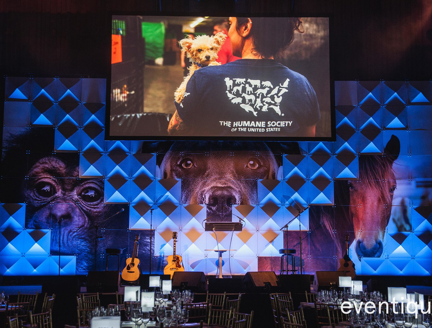 Pyramid - Atomic Design